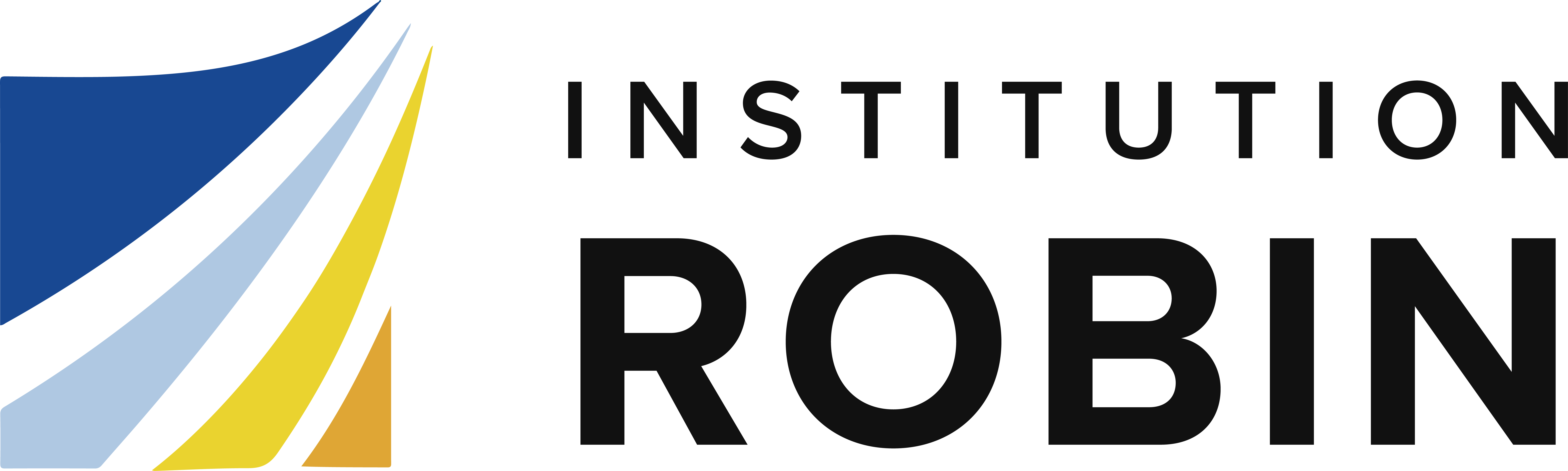 Travaux Institution Robin